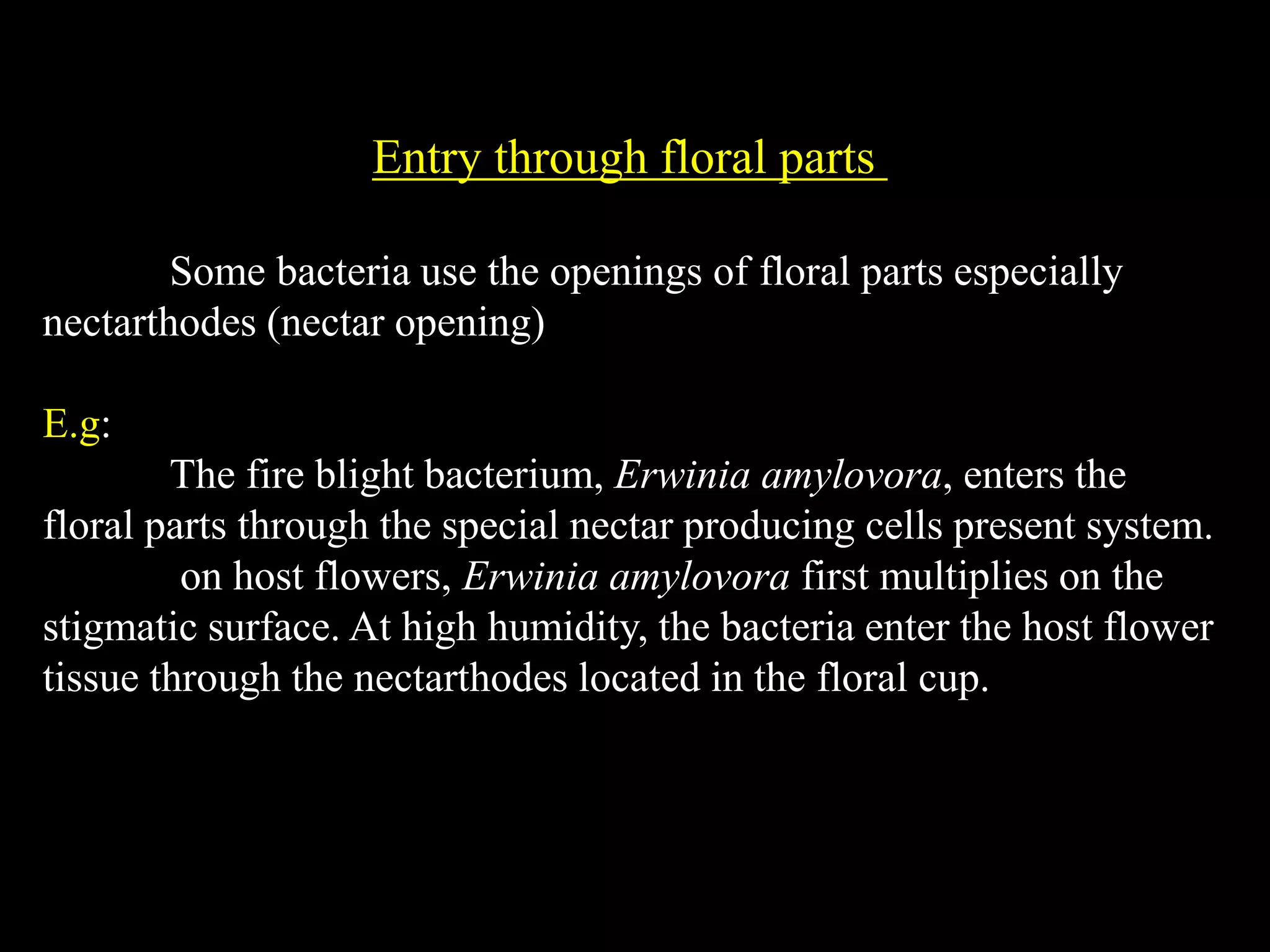 Mode of entry of bacteria in plants. | PPTX