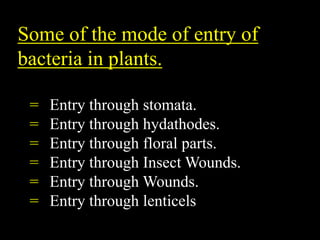 Mode of entry of bacteria in plants. | PPTX