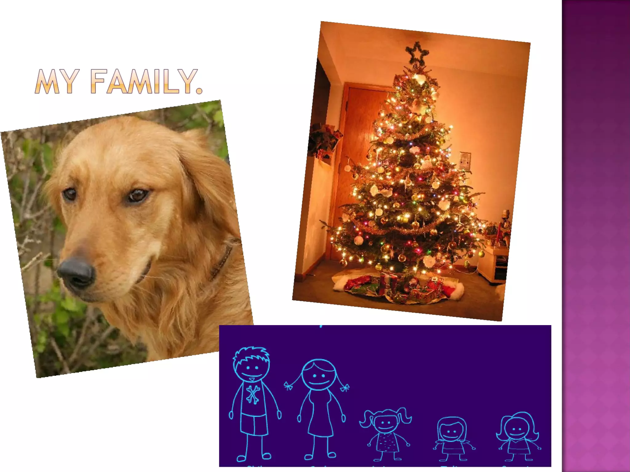 Personality Project | PPT