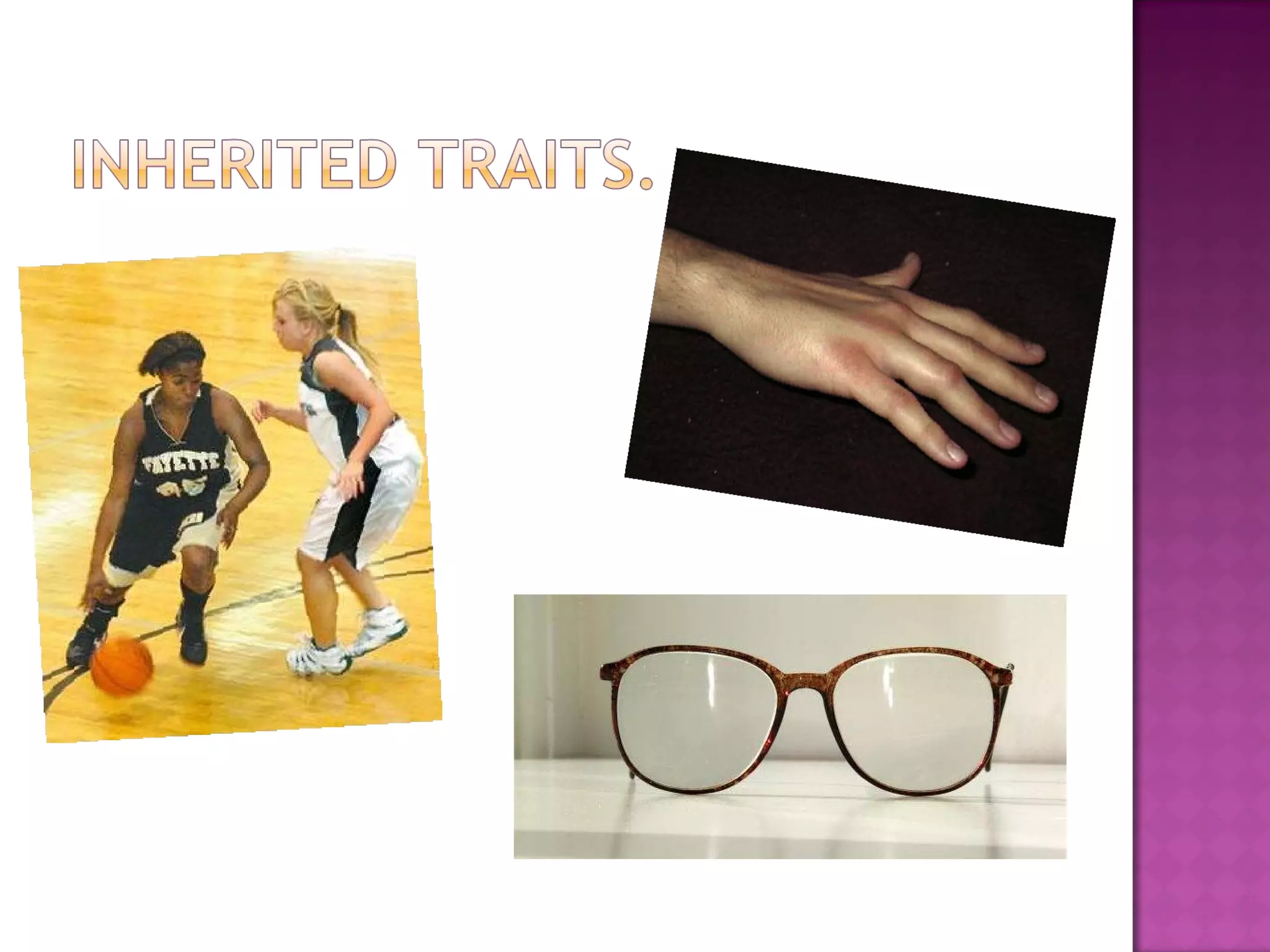 Personality Project | PPT