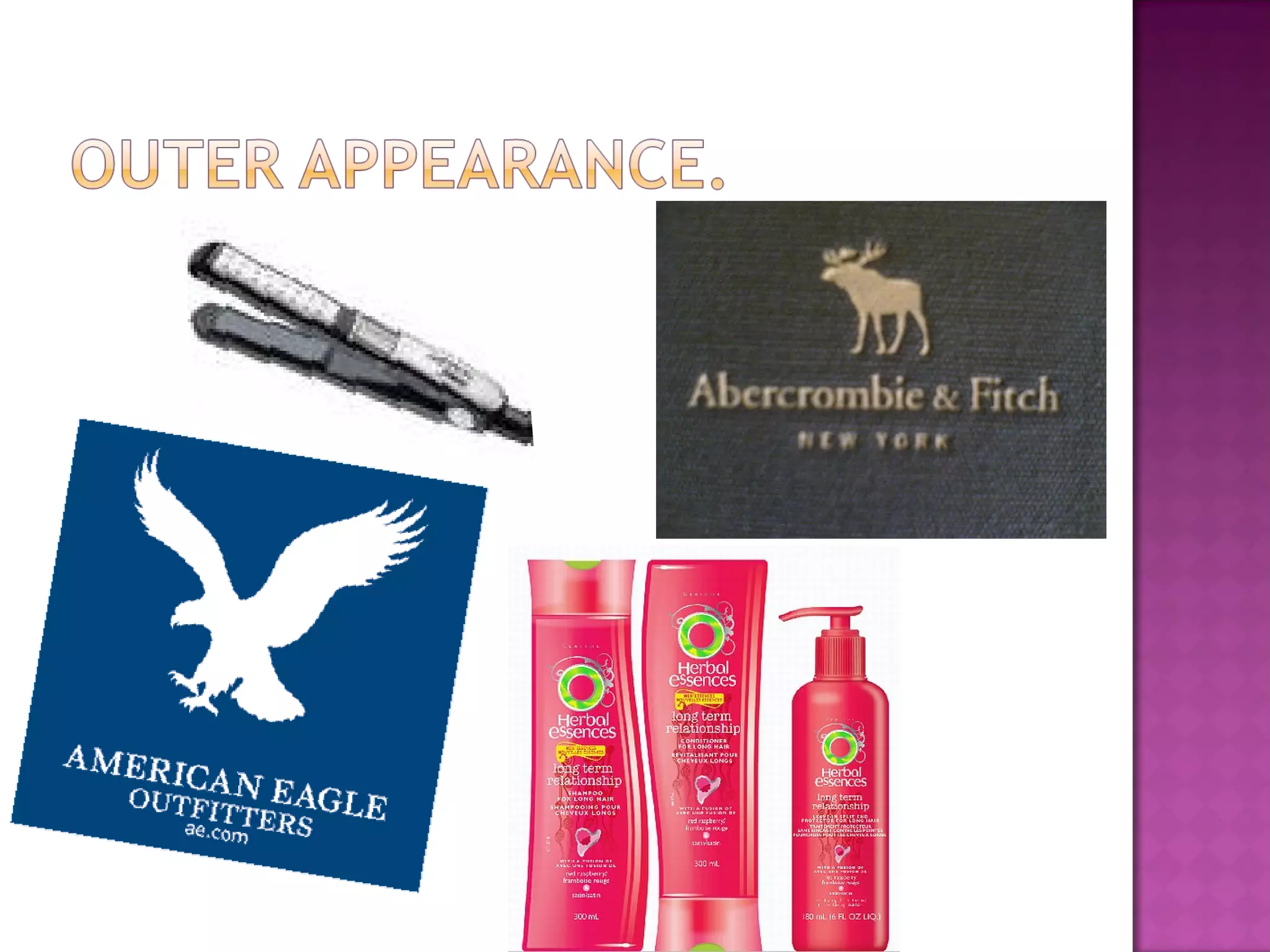 Personality Project | PPT