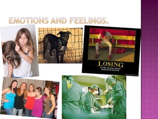 Personality Project | PPT