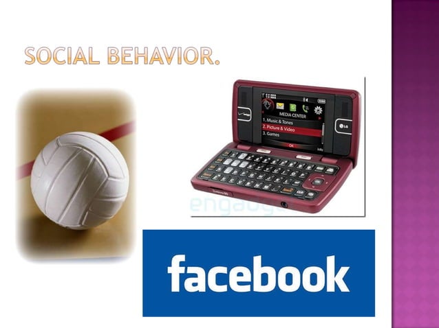 Personality Project | PPT