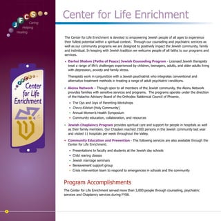 JFCS Annual Report 2008 | PDF