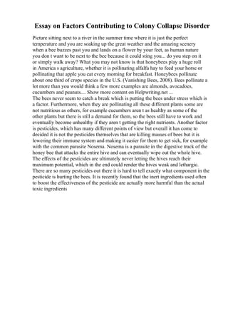Jfk Assassination Conspiracy Essay.pdf