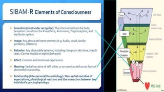 Somatic approaches to treating trauma threat arousal cycle | PPTX