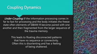 Somatic approaches to treating trauma threat arousal cycle | PPTX