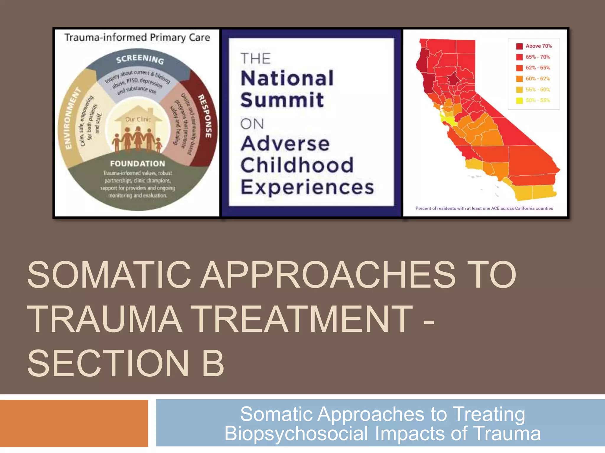 Somatic Approaches Treating biopsychosocial Impacts of Trauma | PPTX