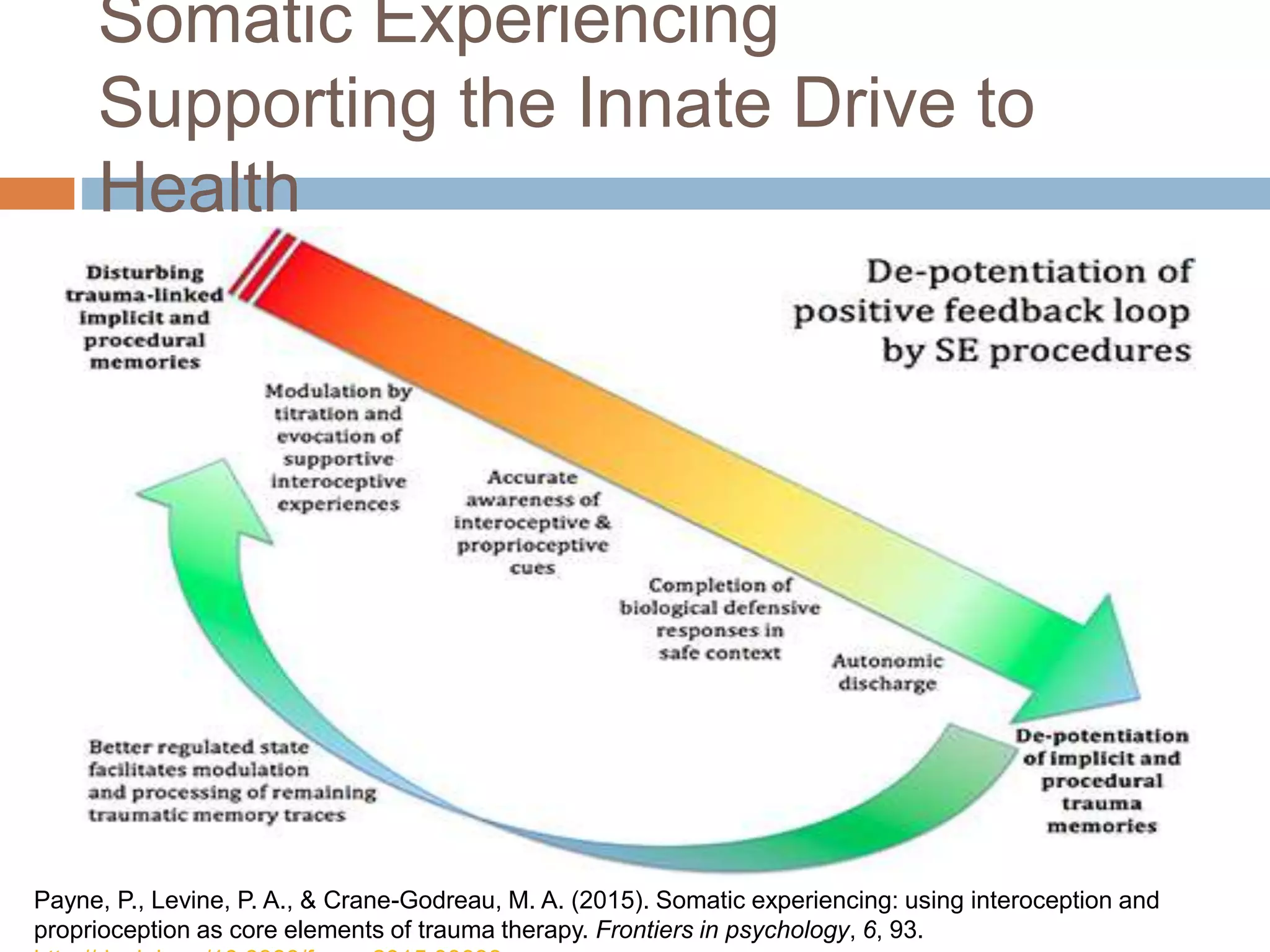 Somatic Approaches Treating biopsychosocial Impacts of Trauma | PPTX
