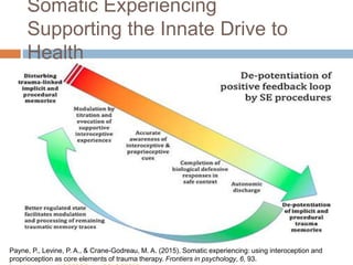 Somatic Approaches Treating biopsychosocial Impacts of Trauma | PPTX