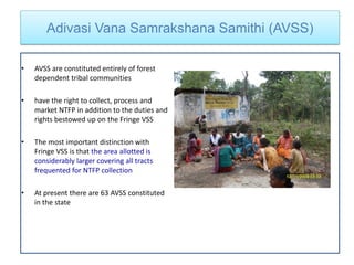 Joint Forest Management - Kerala | PDF
