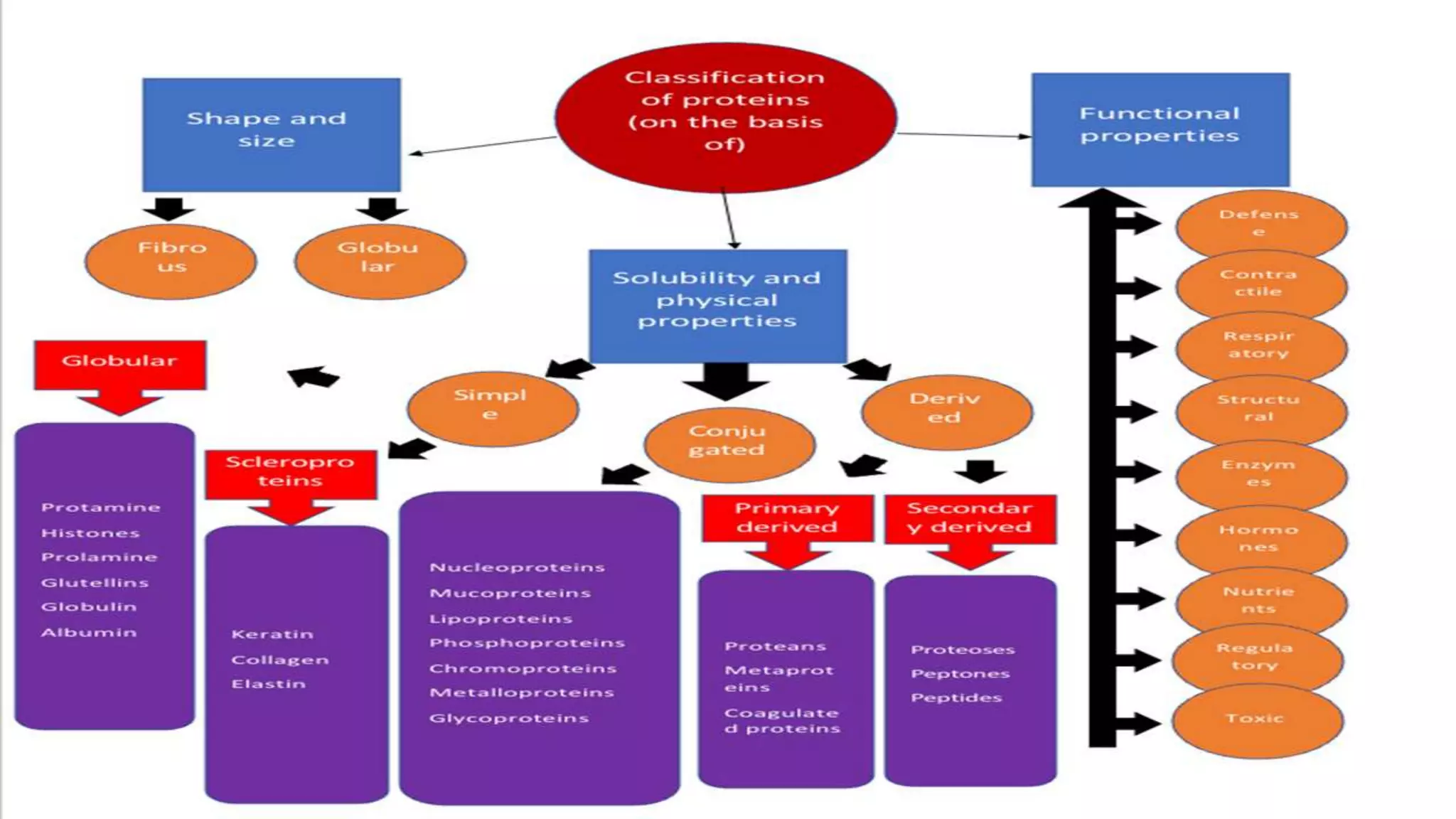 Classification of proteins. | PPTX
