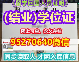 UDel成绩单 | PDF