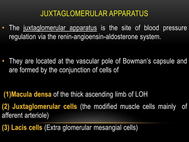 JG apparatus.pptx | Endocrine and Metabolic Diseases | Diseases and ...