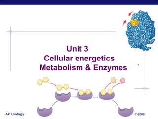 ch_8_metabolism_and_enzymes_ppt._Autosaved.ppt