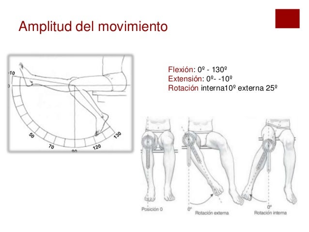 Sesion clinica tania exploracion de la rodilla