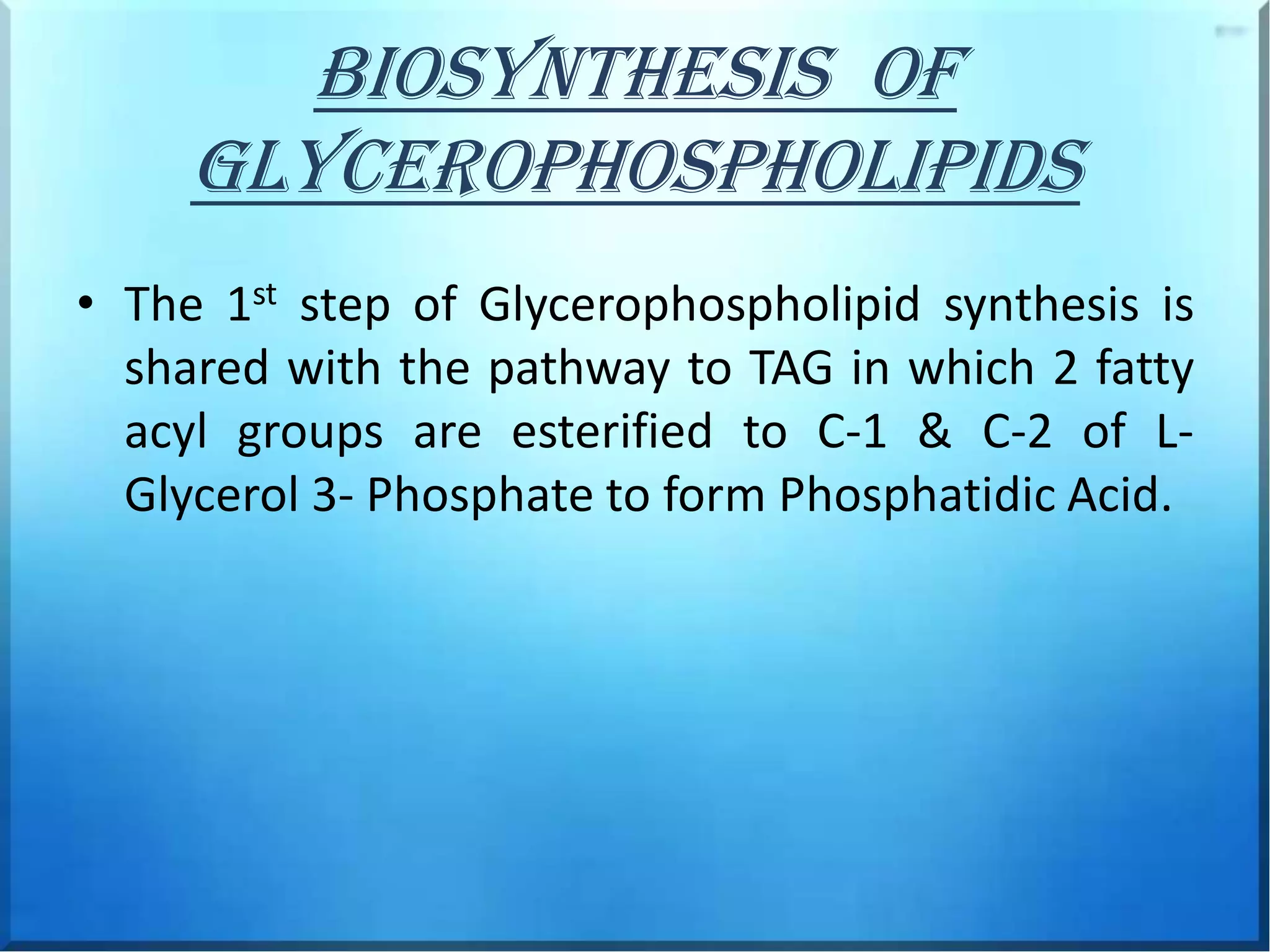 Biosynthesis of Phospholipids | PDF
