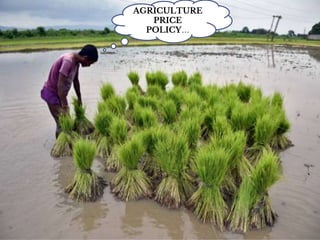 AGRICULTURAL PRICE POLICY -AGRICULTURAL ECONOMICS.pptx
