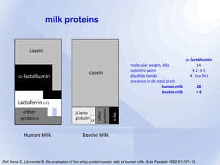 Alpha Lactalbumin - Development path for a valuable dairy protein ...