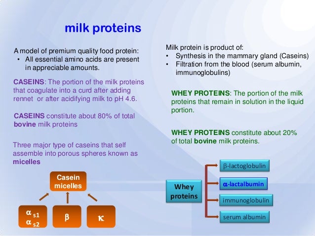 Alpha Lactalbumin - Development path for a valuable dairy protein ing…