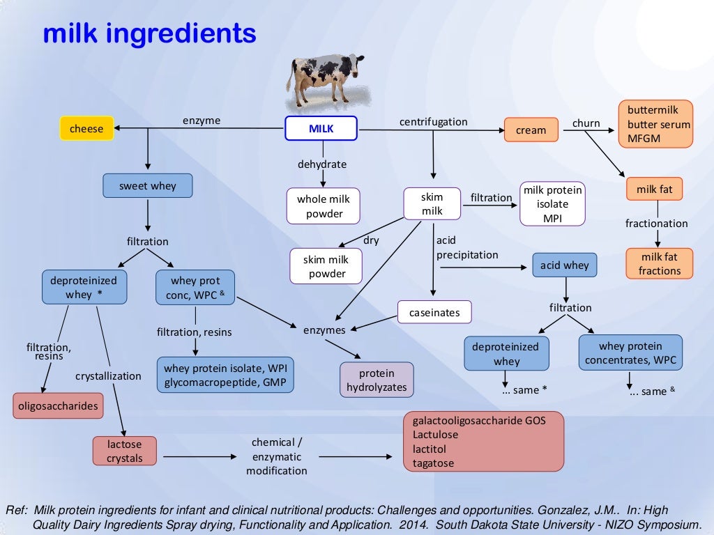Alpha Lactalbumin - Development path for a valuable dairy protein ing…