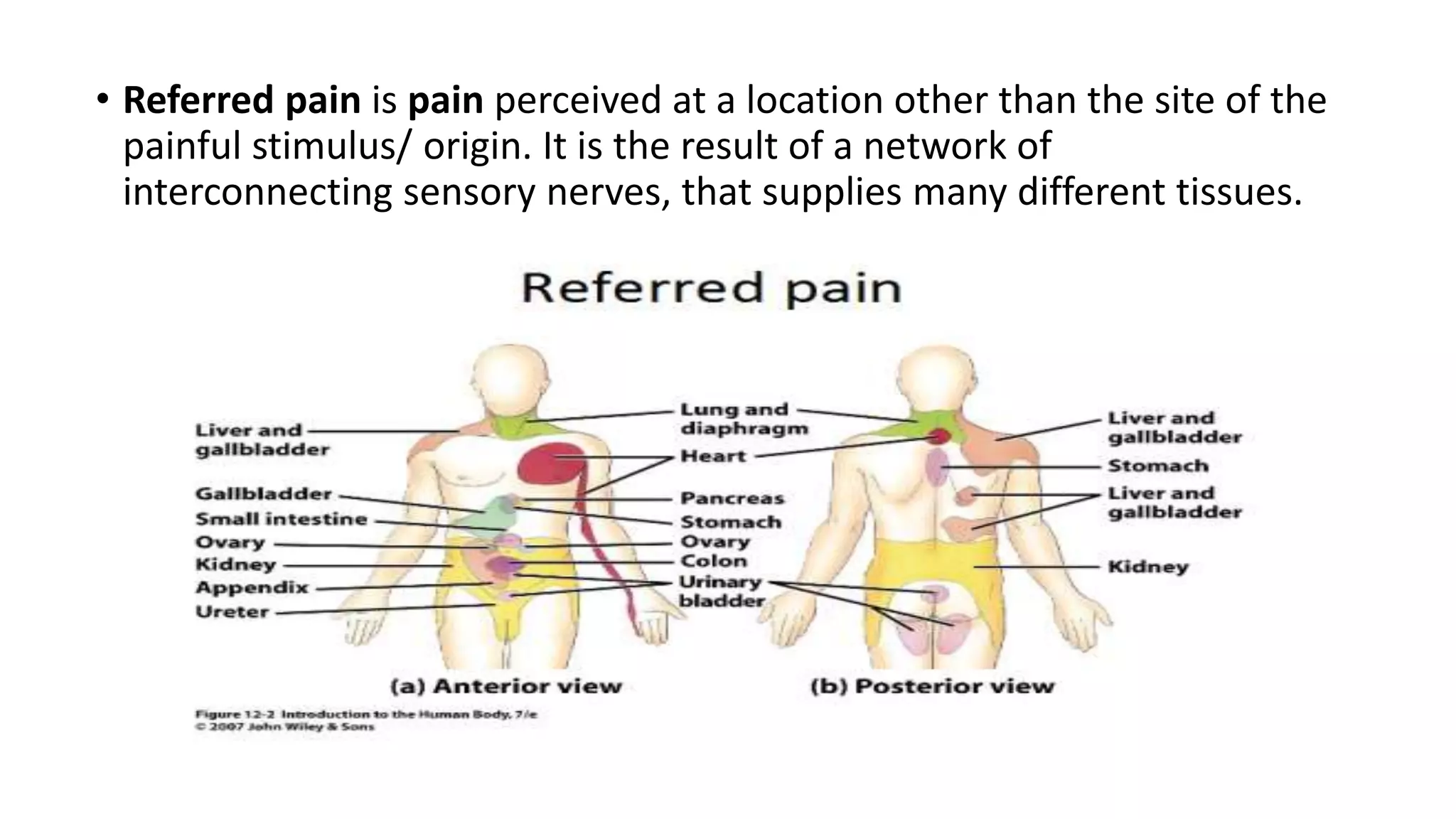 A chart of pic showing referred pain | PPTX | Diseases and Conditions ...