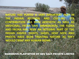 Protecting Environment by Protecting Wetlands and Mangrove Forests. by ...