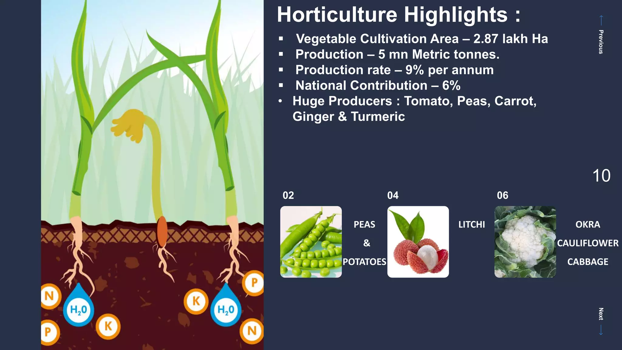 Jharkhand State - Food and Agriculture sector | PPTX