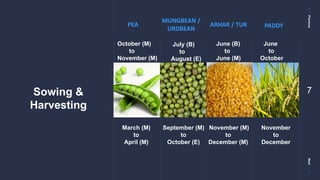 Jharkhand State - Food and Agriculture sector | PPTX