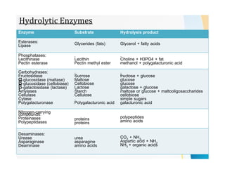 enzyme catalysis | PPT