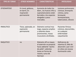 Semiología del tórax /Exploración física | PPTX