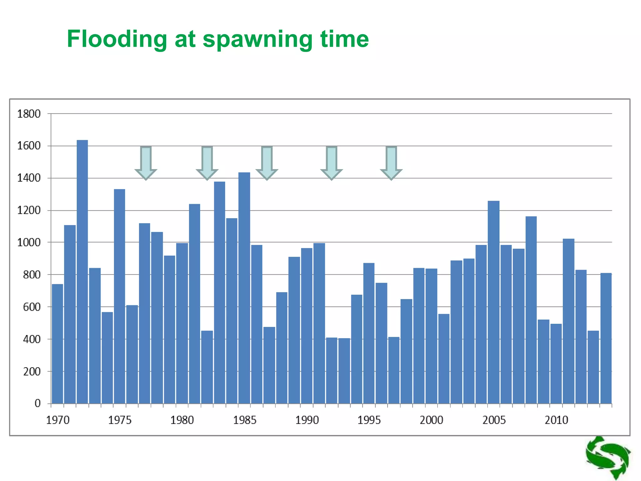 Flooding - a problem for fish? - James Hunt, The Tweed Foundation | PPTX