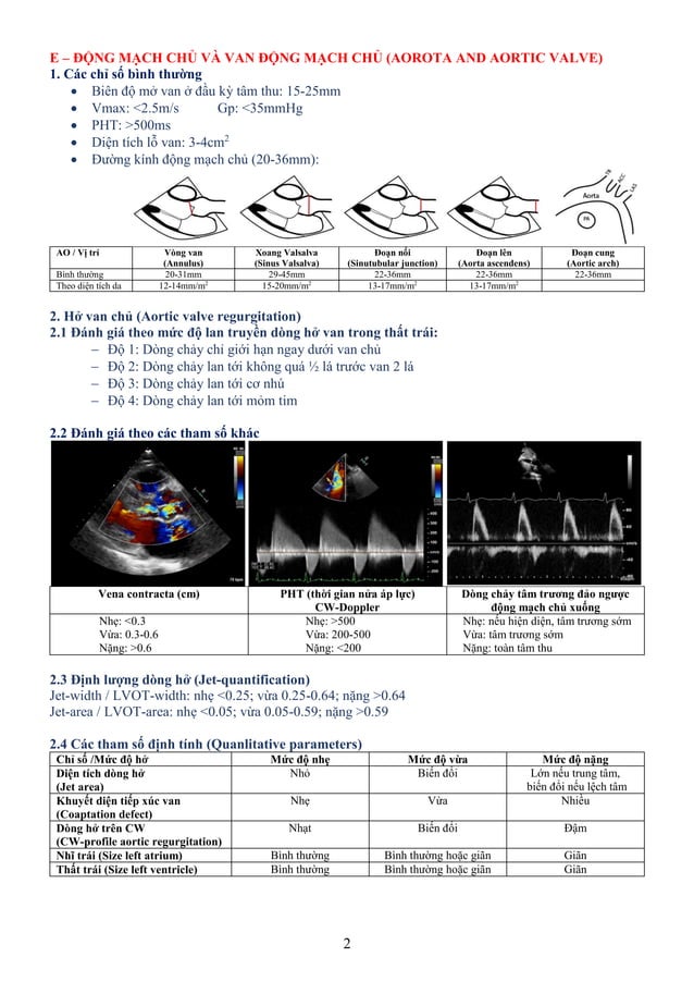 Chi-so-sieu-am-tim-co-ban-Hoang-Van-Trung.pdf