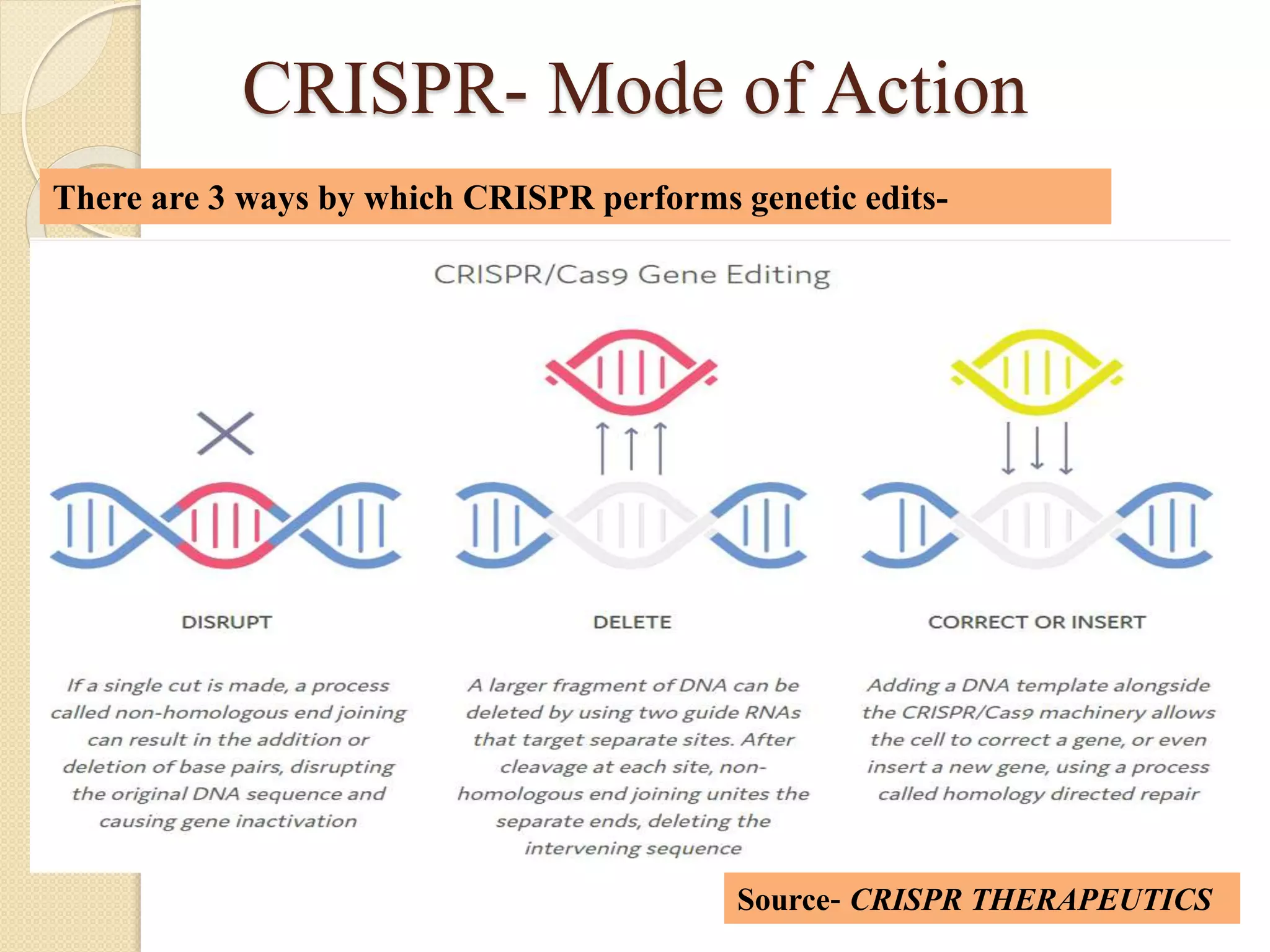Gene silencing techniques for crop improvement | PPTX
