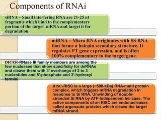 Gene silencing techniques for crop improvement | PPTX