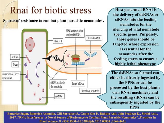 Gene silencing techniques for crop improvement | PPTX