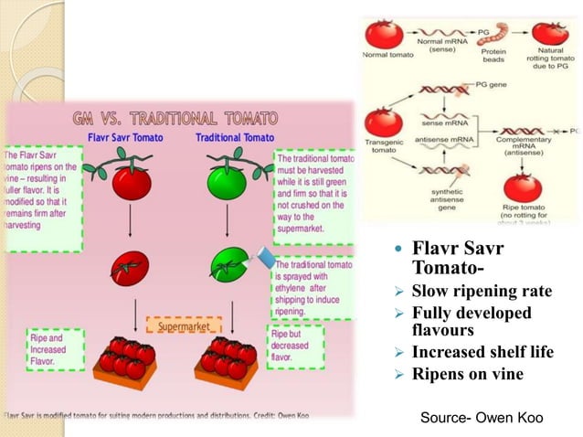 Gene silencing techniques for crop improvement | PPTX