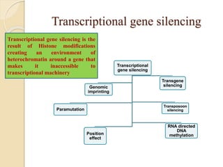 Gene silencing techniques for crop improvement | PPTX