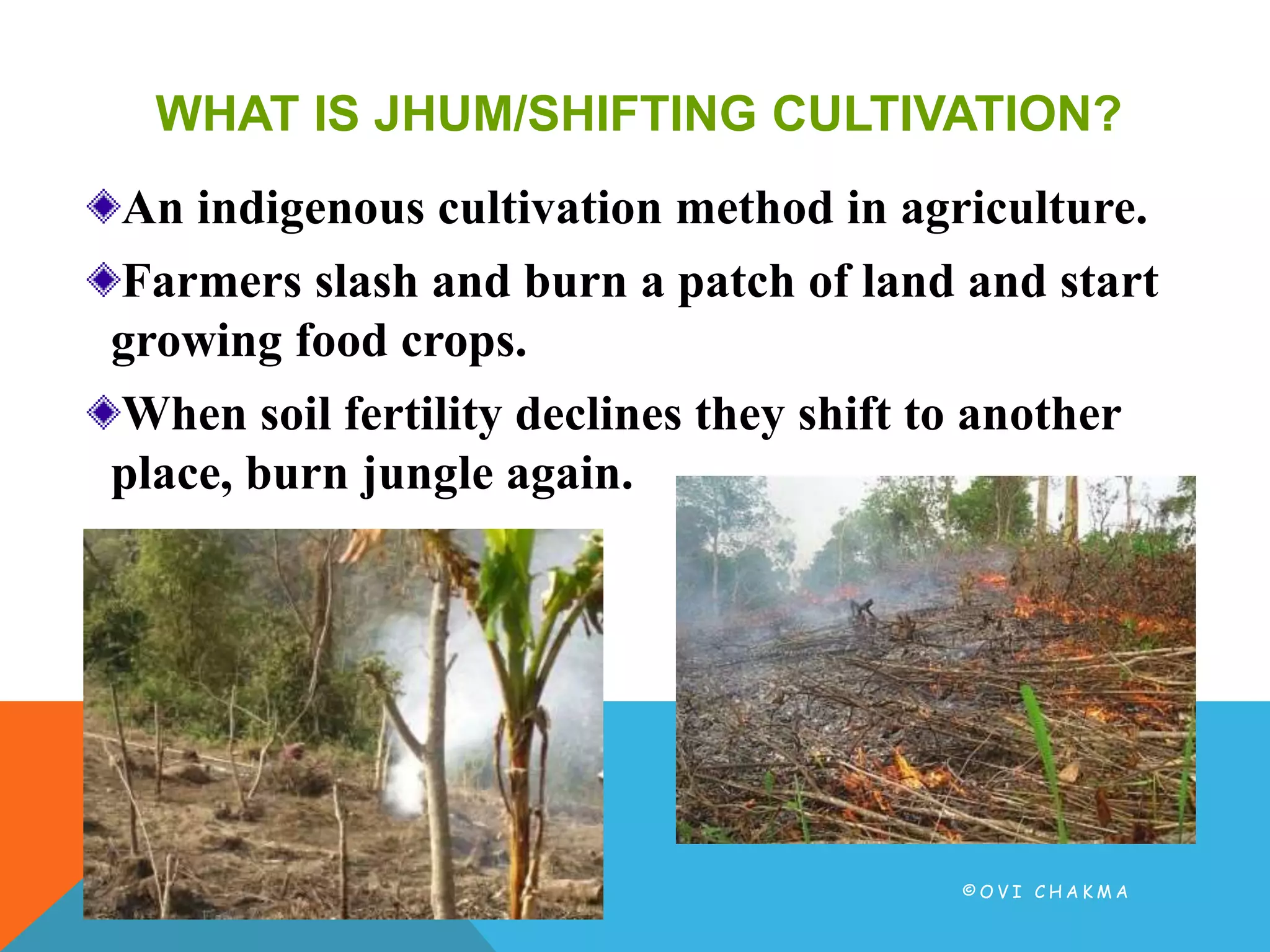 Jhum cultivation | PPTX