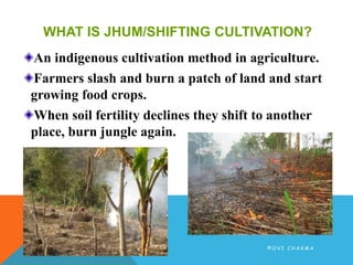 Jhum cultivation | PPTX