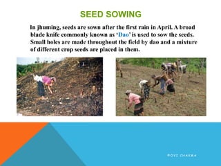 Jhum cultivation | PPTX