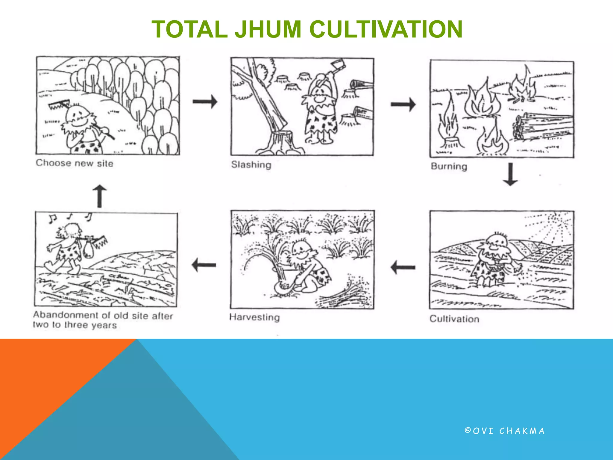 Jhum cultivation | PPTX
