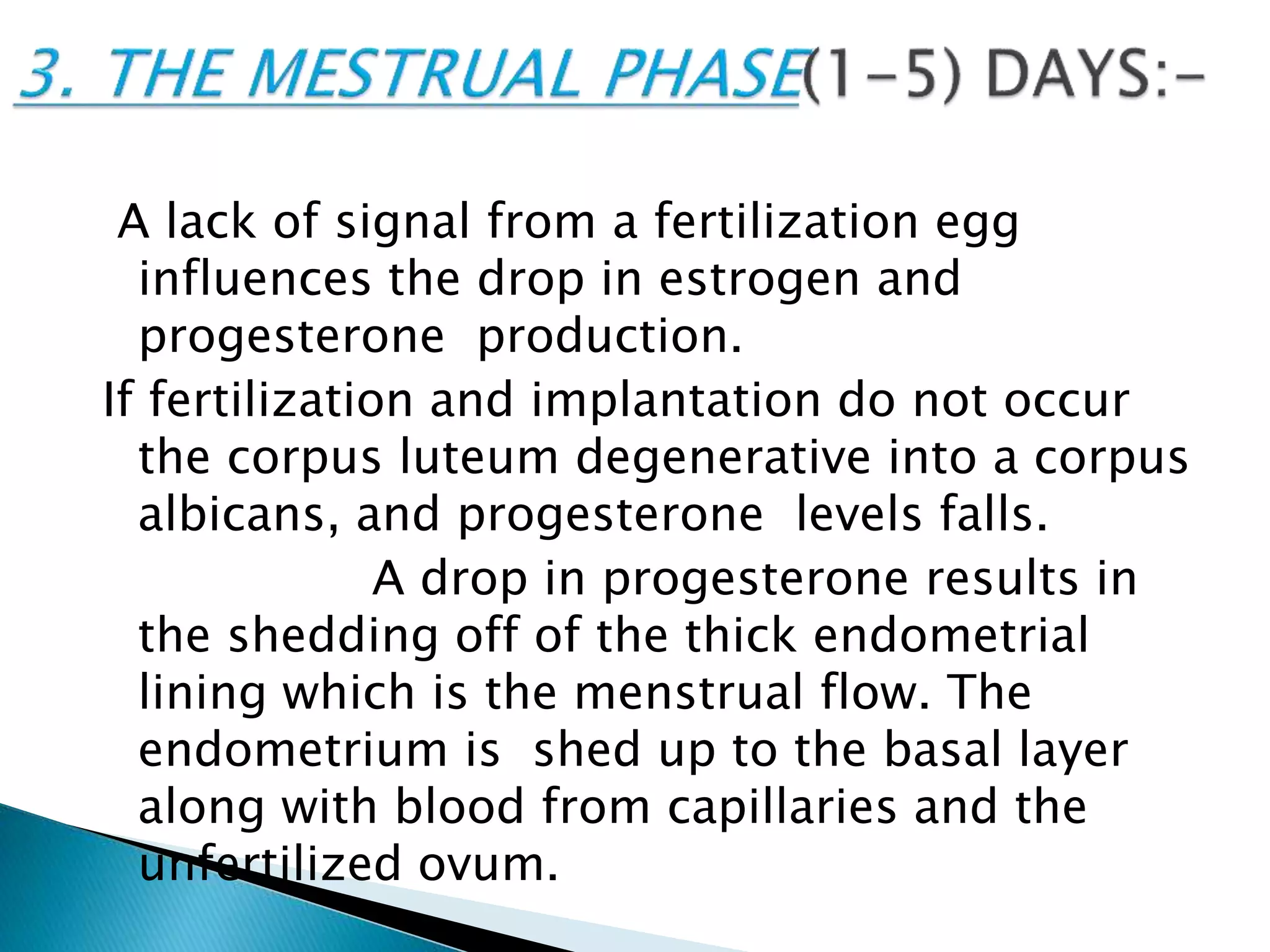 $$ MENSTRUAL CYCLE $$ | PPTX