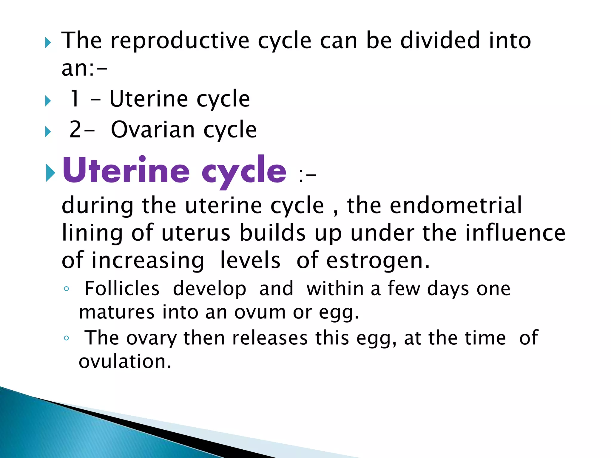 $$ MENSTRUAL CYCLE $$ | PPTX