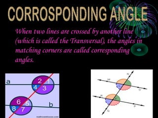 lines and angles | PPT