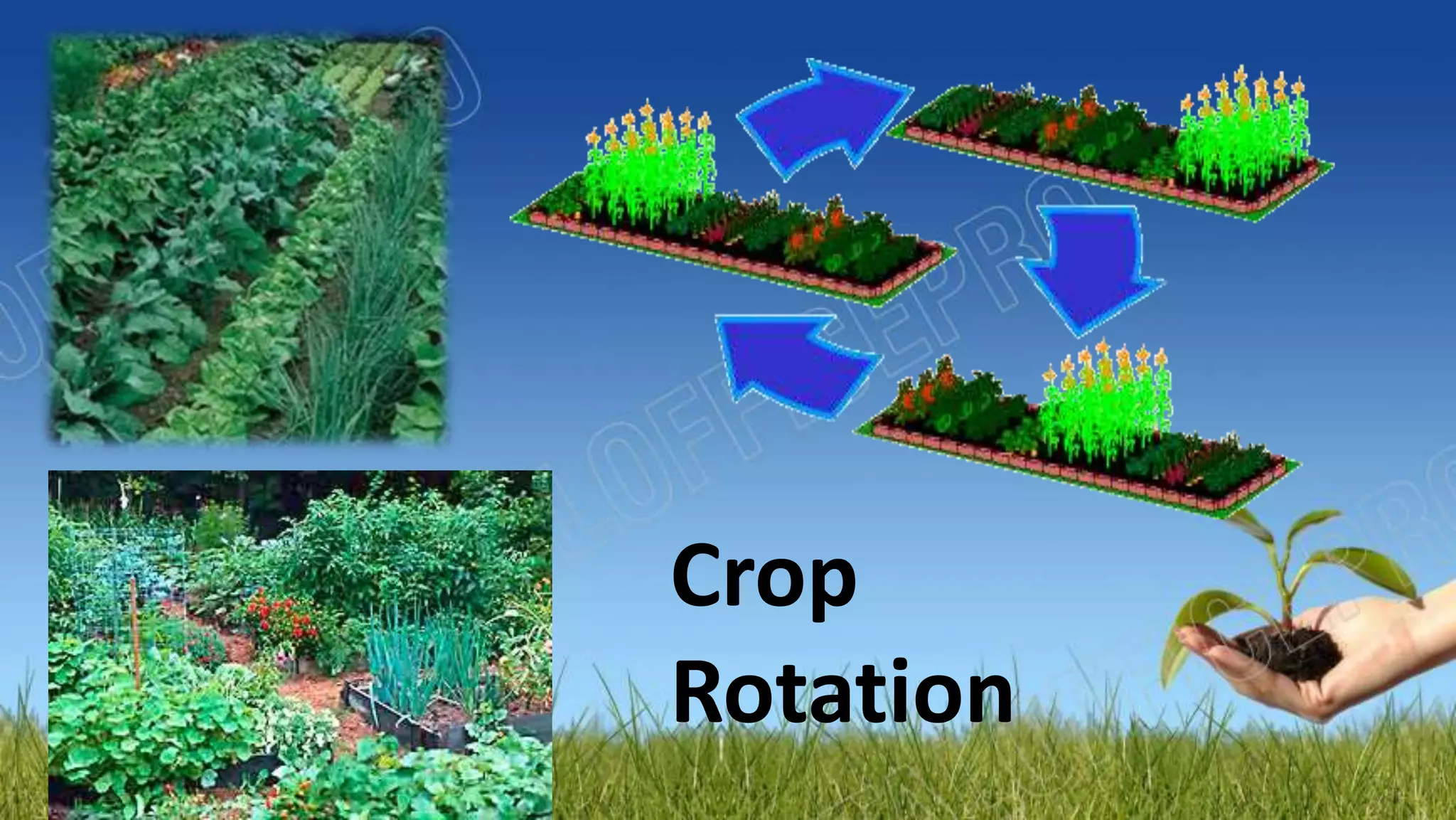 soil conservation | PPTX