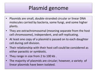 Molecular biology | PPT