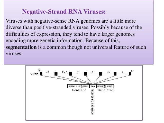 Molecular biology