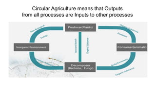 Agroforestry, Circular Agriculture and Mountain Futures | PPTX