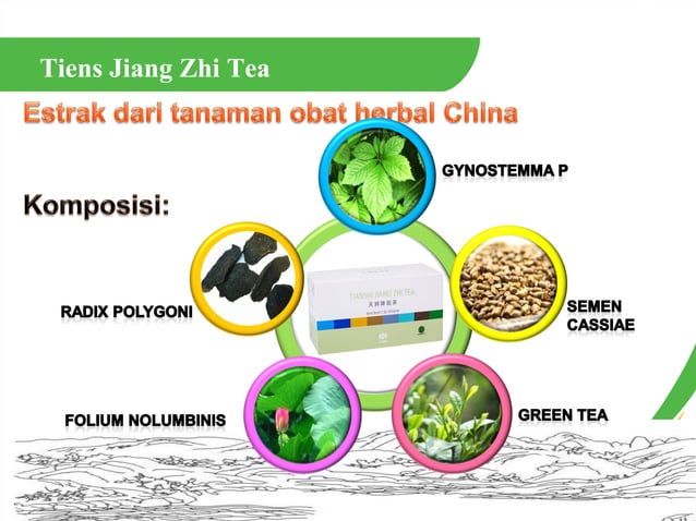 Jiang zhi tea | PDF